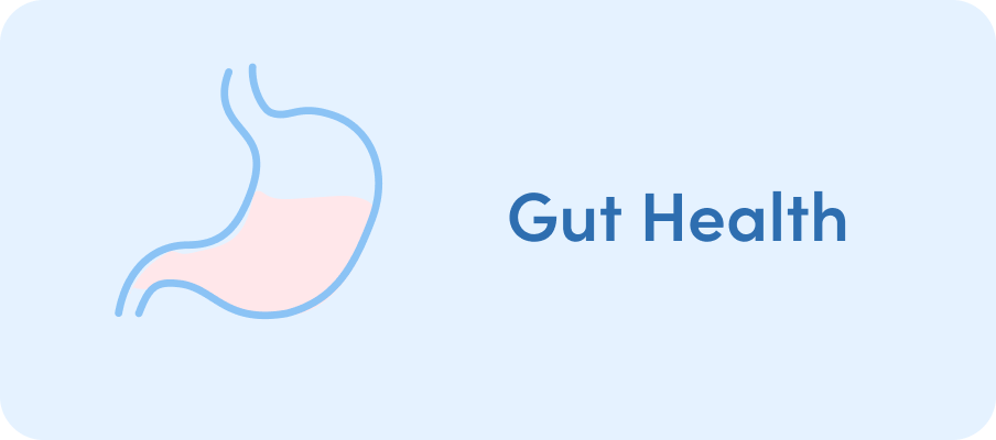 Collagen Supplements For Gut Health NZ | Gut Health Supplements – The ...