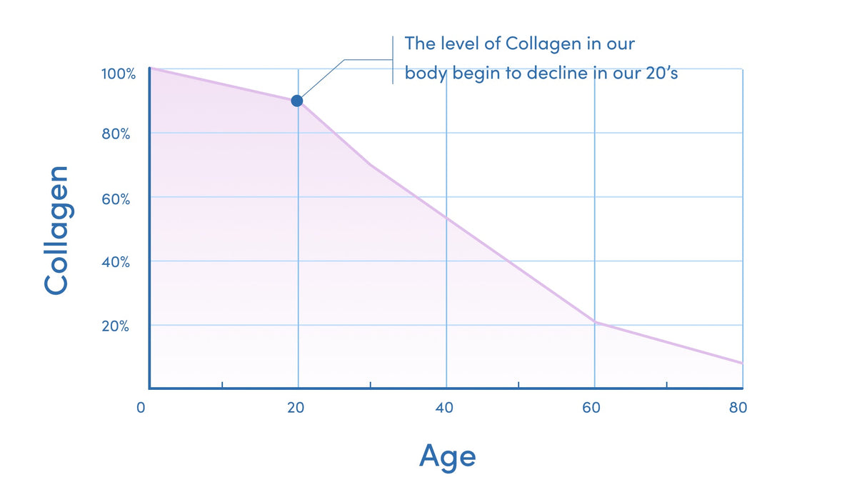 What Is Collagen? Collagen Benefits | The Collagen Co. – The Collagen Co NZ